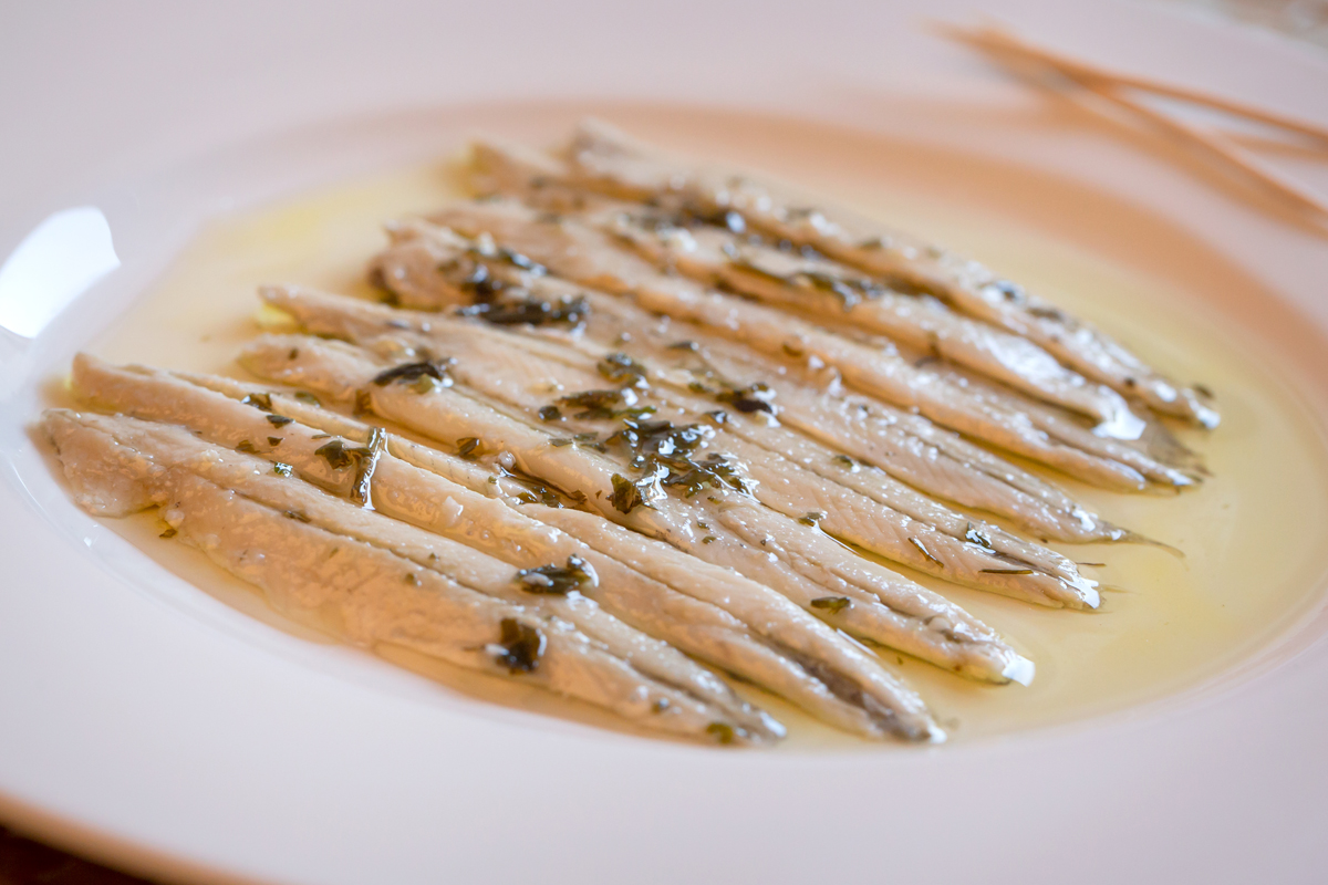 Descubre la verdad sobre los boquerones: ¿qué pescado es en realidad ...